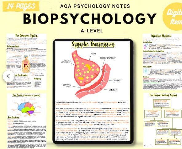 AQA A-level Psychology full condensed notes: BIOPSYCHOLOGY printable w ...