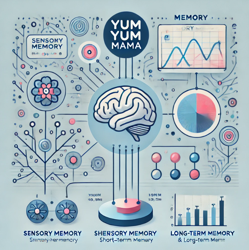 Multi Store Model of Memory Evaluation – Yum Yum Mama
