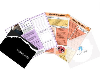 A-Level (AQA) Psychology (Year 2) Case Studies Full Lesson – Yum Yum Mama